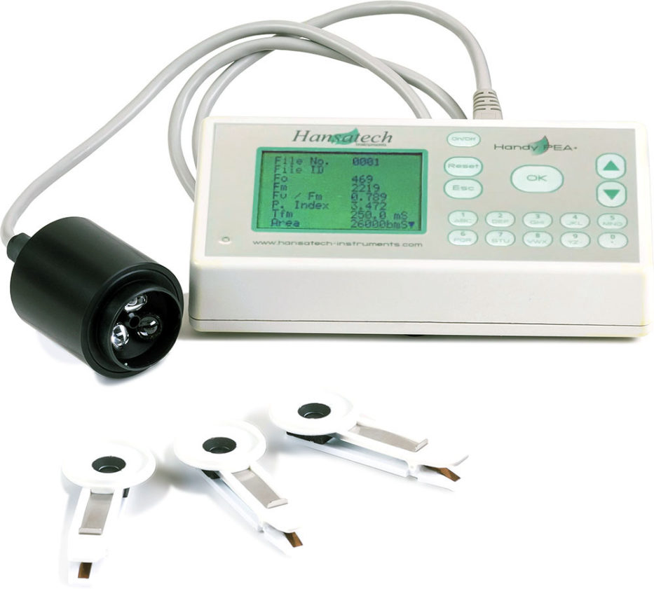 Chlorophyll Fluorescence